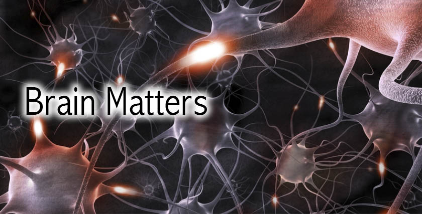 Oklahoma Medical Research Foundation (OMRF) — Discoveries that make a ...