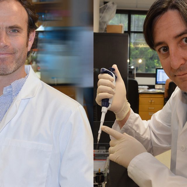 Lessard, Christopher J.