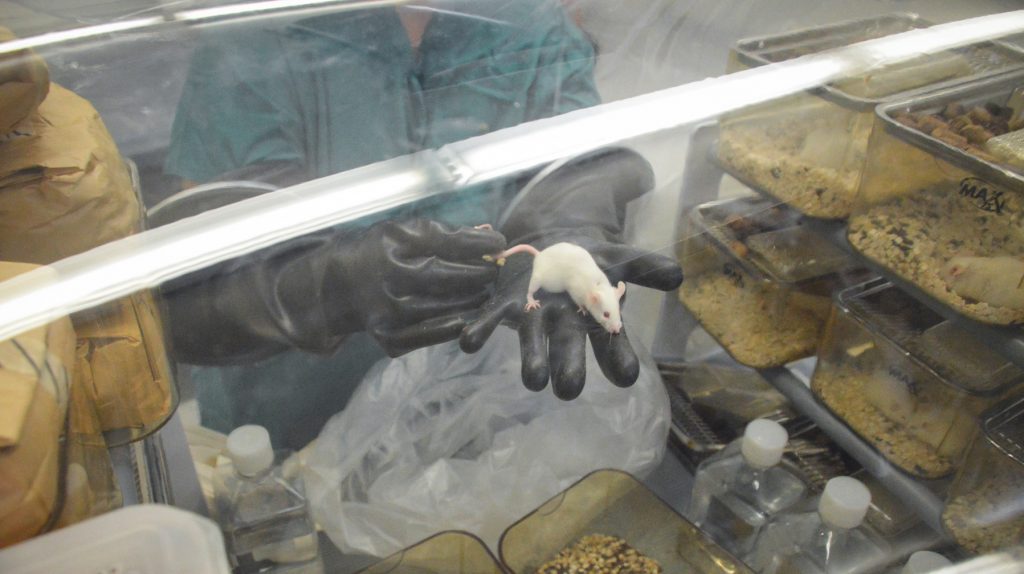 OMRF opens state’s first germ-free mouse research facility