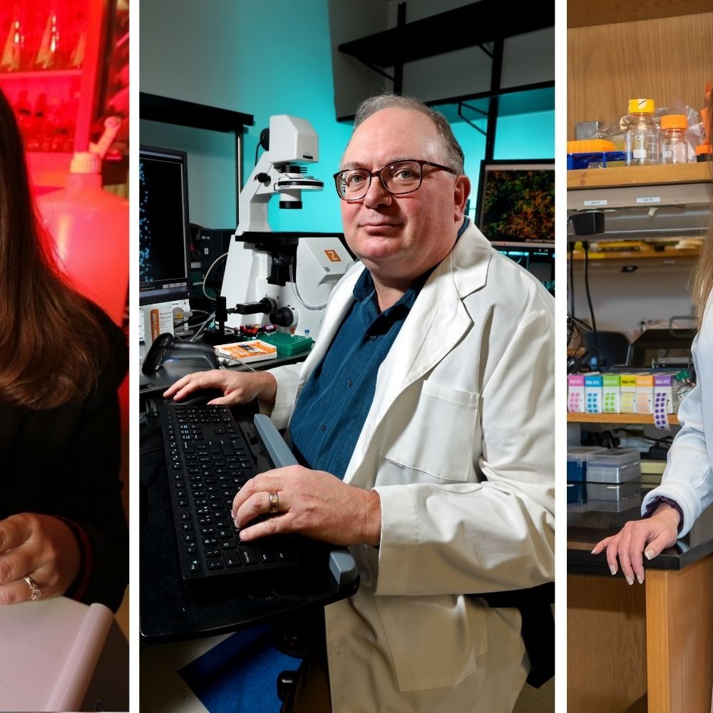 Oklahoma Medical Research Foundation | OMRF — OMRF is an independent ...