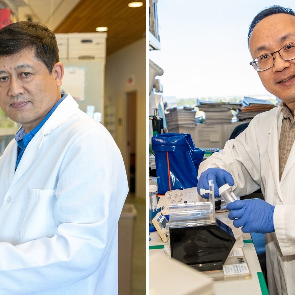 Oklahoma Medical Research Foundation | OMRF — OMRF is an independent ...