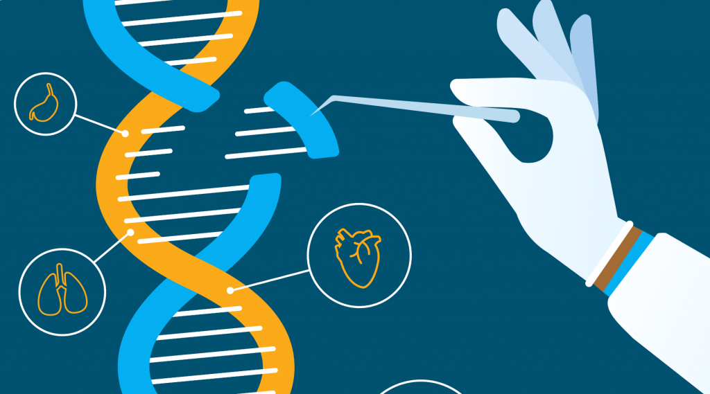 With gene-editing technology, the possibilities are staggering