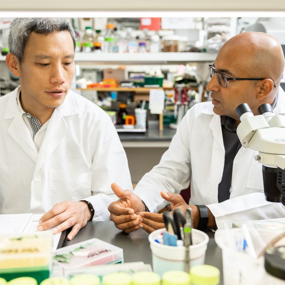 Oklahoma Medical Research Foundation | OMRF — OMRF is an independent ...